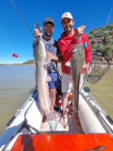 Dorsal Fish – Barbel/Baber/Catfish popping fishing lures