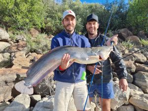 Dorsal Fish – Barbel/Baber/Catfish popping fishing lures