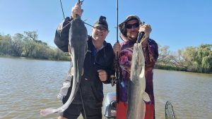 Dorsal Fish – Barbel/Baber/Catfish popping fishing lures