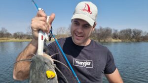 Dorsal Fish – Barbel/Baber/Catfish popping fishing lures