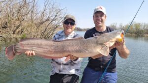 Dorsal Fish – Barbel/Baber/Catfish popping fishing lures