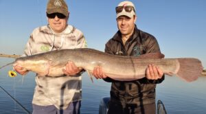 Dorsal Fish – Barbel/Baber/Catfish popping fishing lures