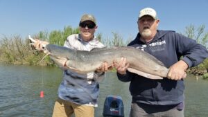 Dorsal Fish – Barbel/Baber/Catfish popping fishing lures