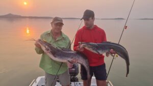 Dorsal Fish – Barbel/Baber/Catfish popping fishing lures