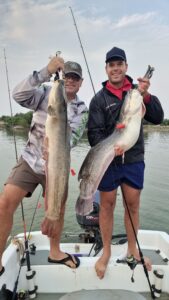 Dorsal Fish – Barbel/Baber/Catfish popping fishing lures