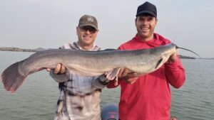 Dorsal Fish – Barbel/Baber/Catfish popping fishing lures