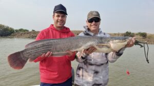 Dorsal Fish – Barbel/Baber/Catfish popping fishing lures