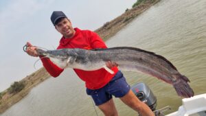 Dorsal Fish – Barbel/Baber/Catfish popping fishing lures