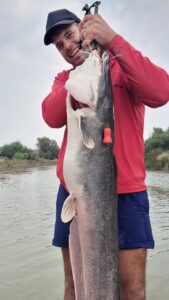 Dorsal Fish – Barbel/Baber/Catfish popping fishing lures