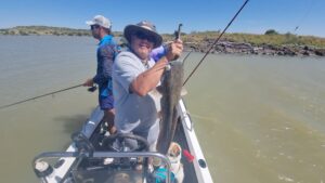 Dorsal Fish – Barbel/Baber/Catfish popping fishing lures