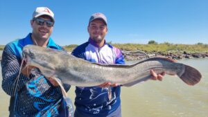 Dorsal Fish – Barbel/Baber/Catfish popping fishing lures