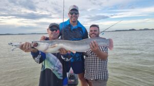 Dorsal Fish – Barbel/Baber/Catfish popping fishing lures