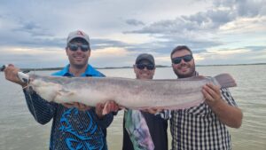 Dorsal Fish – Barbel/Baber/Catfish popping fishing lures