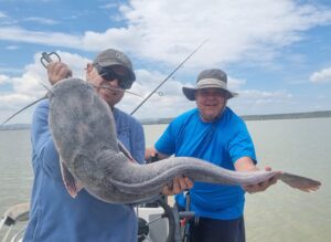 Dorsal Fish – Barbel/Baber/Catfish popping fishing lures