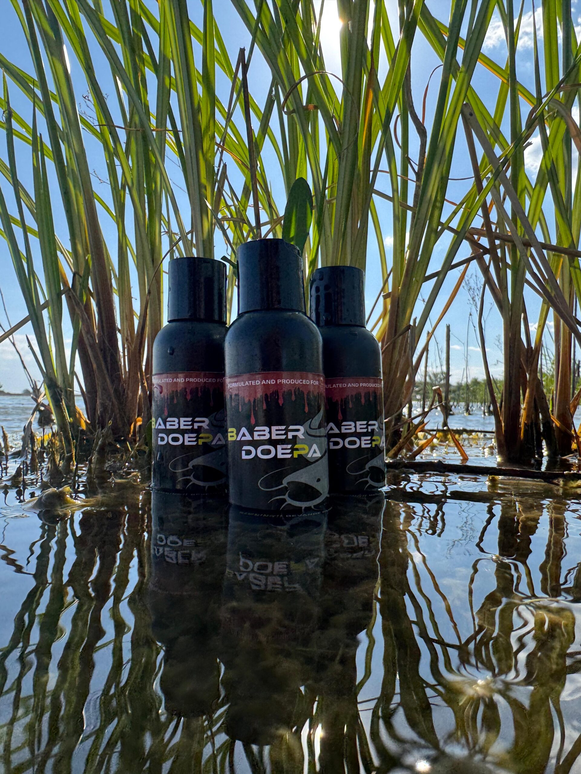 Baber Doepa Dip – Dorsal Fish